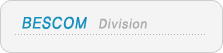 Organization – Bescom Global Co., Ltd.